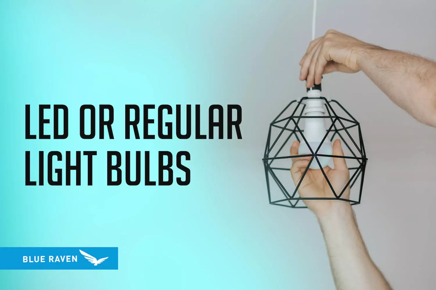 LED Light Bulbs: Do They Really Make a Difference? - Blue Raven Solar