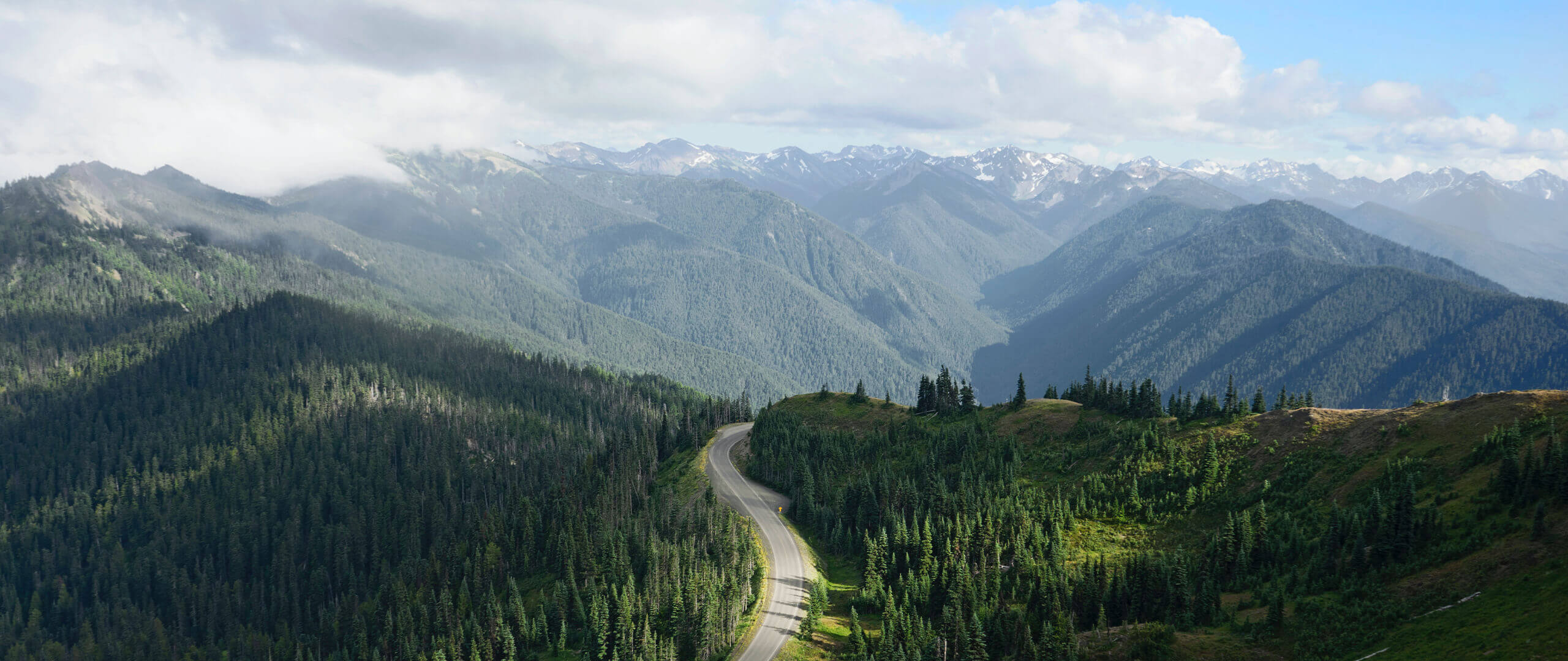 Residential Solar Panel Installer in Redmond