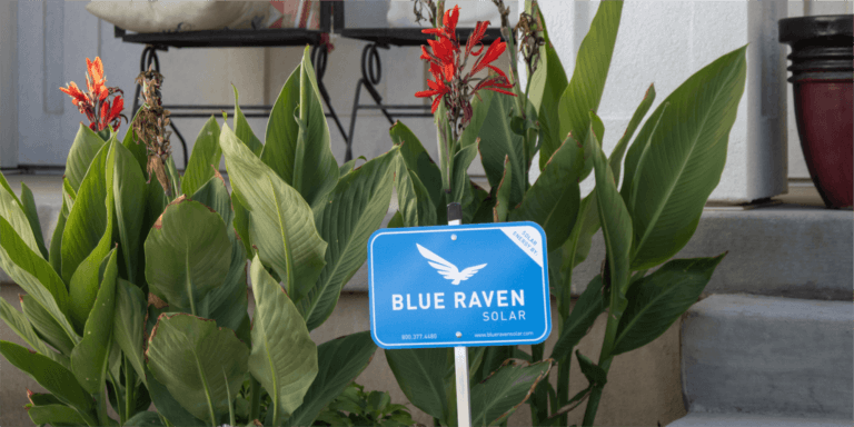 6 Reasons to Choose Blue Raven Solar - Blue Raven Solar