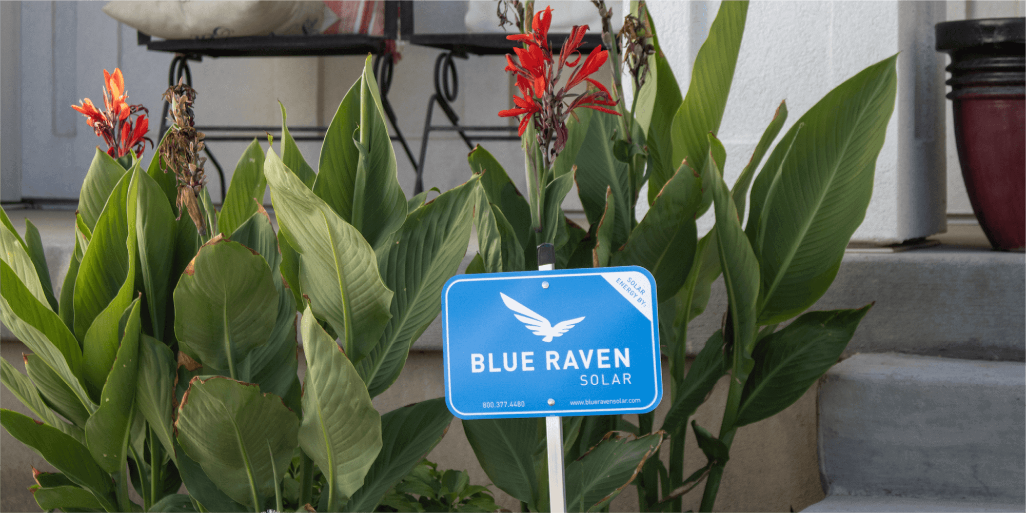 6 Reasons to Choose Blue Raven Solar - Blue Raven Solar